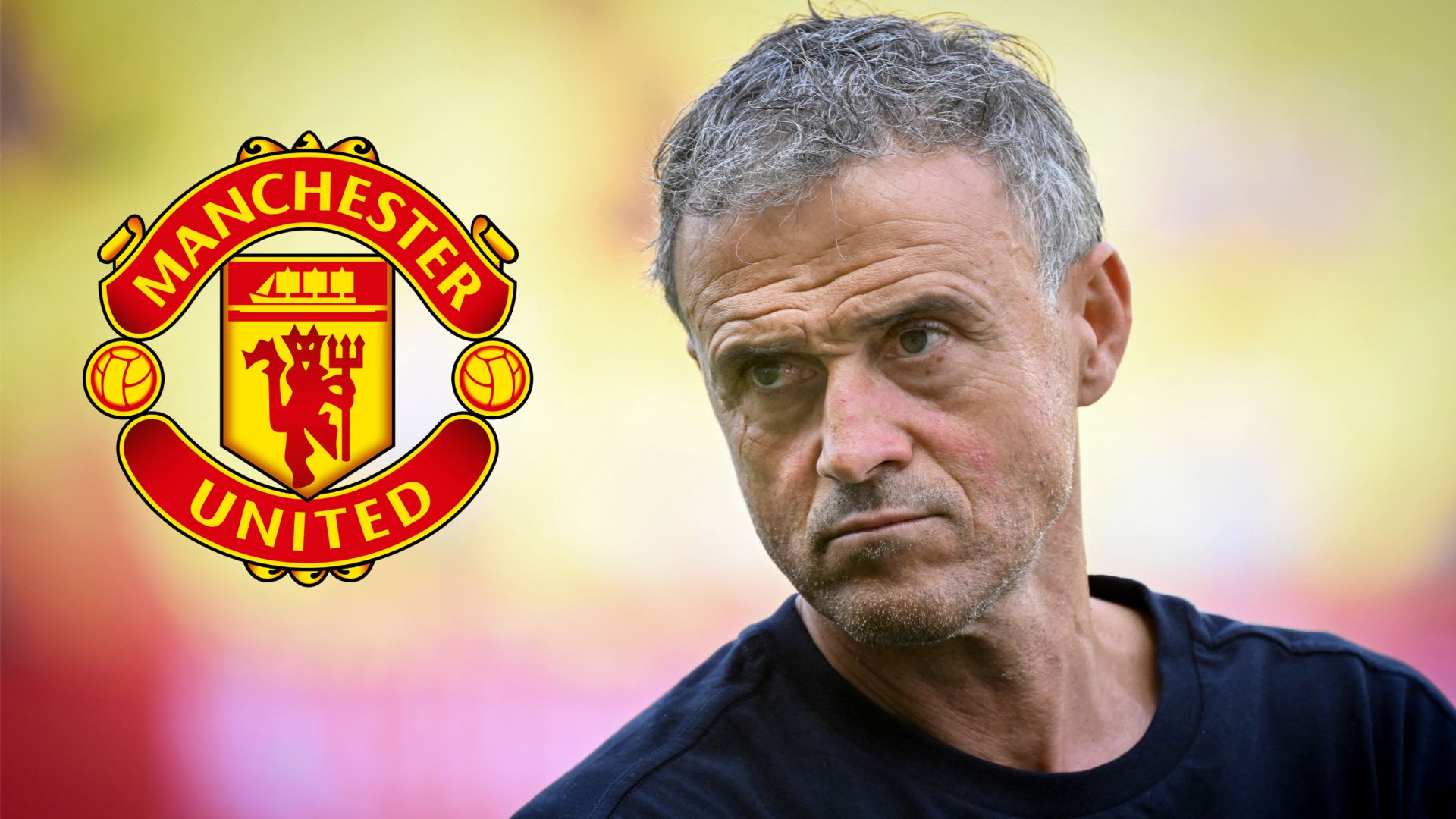 Next Man Utd permanent manager: Luis Enrique identified as the perfect ...