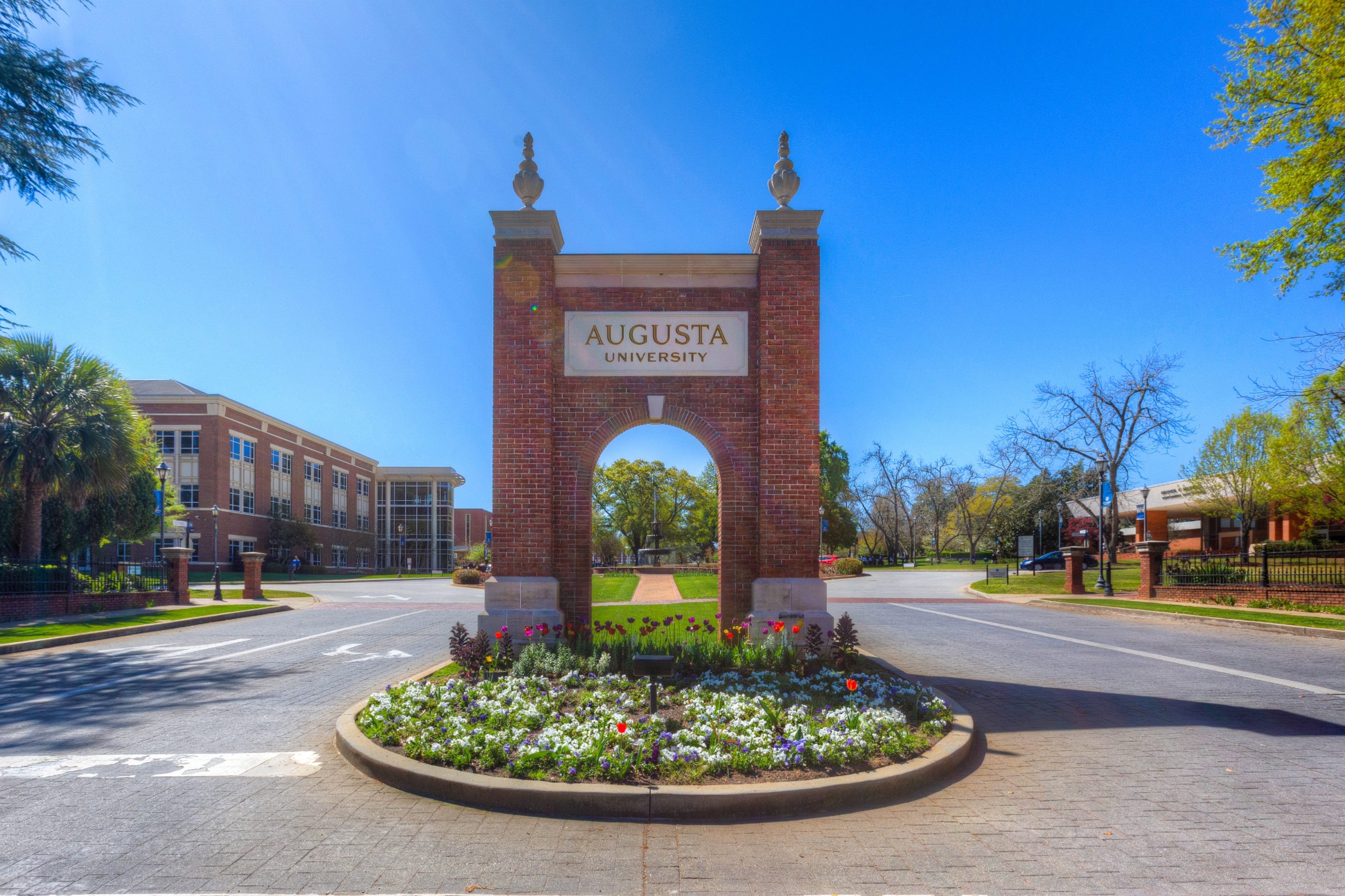 Augusta University's top 10 highest paid employees are Wellstar doctors