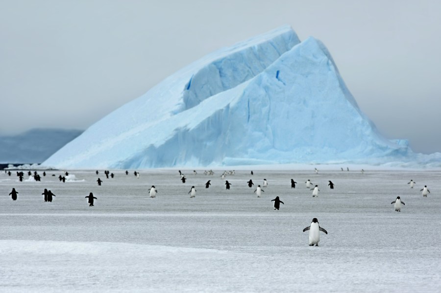 What lies beneath: Antarctica below the ice mapped for first time