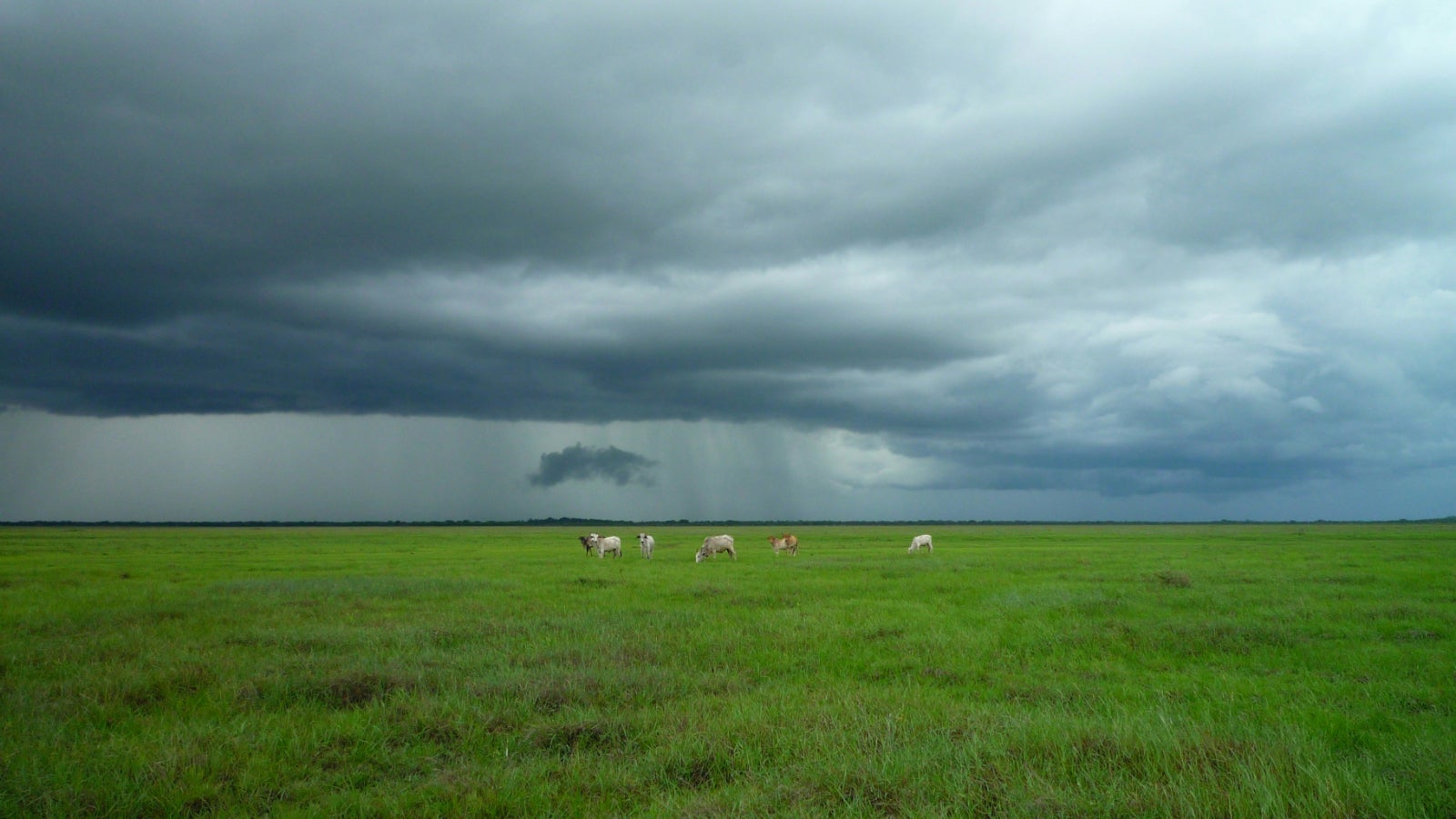 So that's why some people can smell rain before it falls