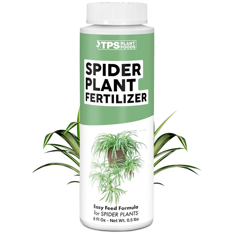 Did you know spider plants have flowers? 3 determining factors