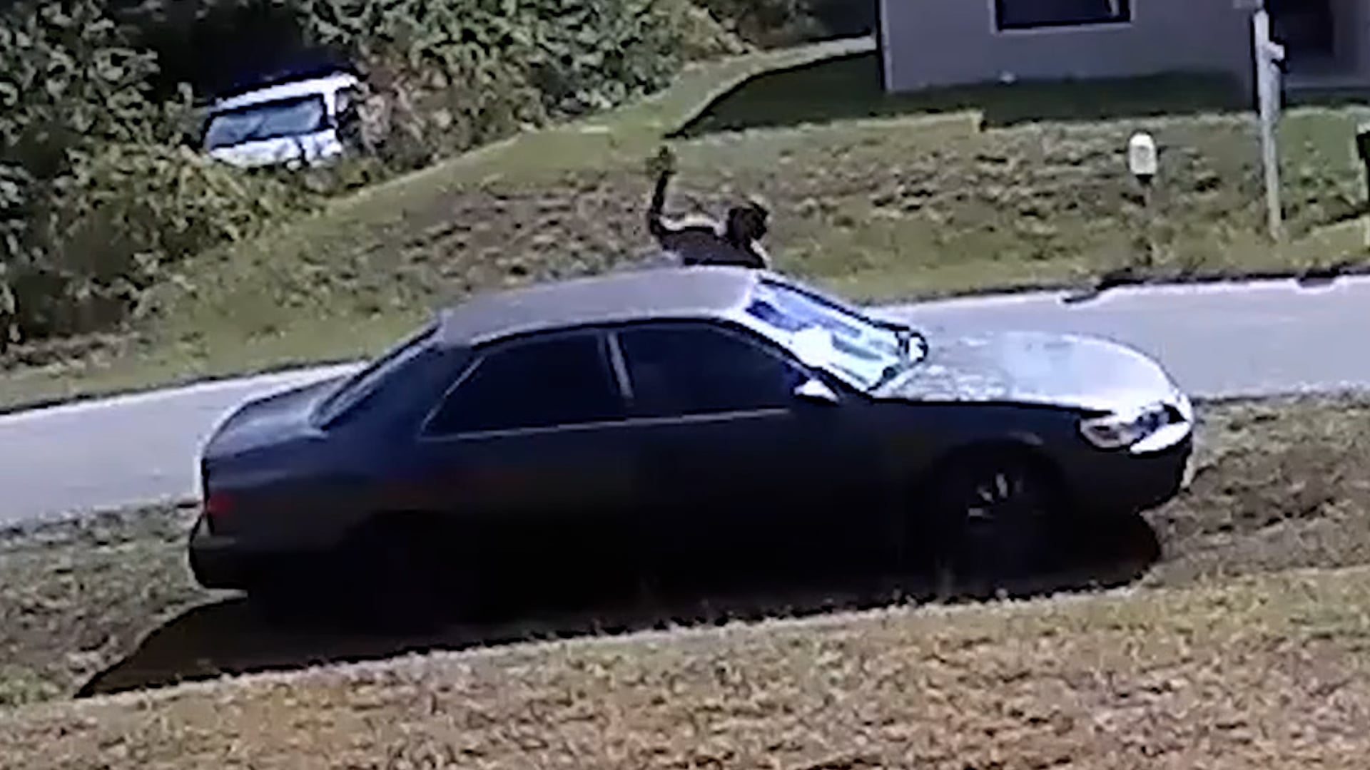 Suspect hurls bricks at car in Florida