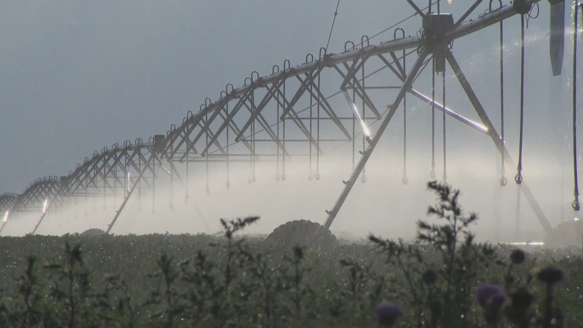 Idaho agriculture leaders: Some lines Idaho can't cross with tighter ...