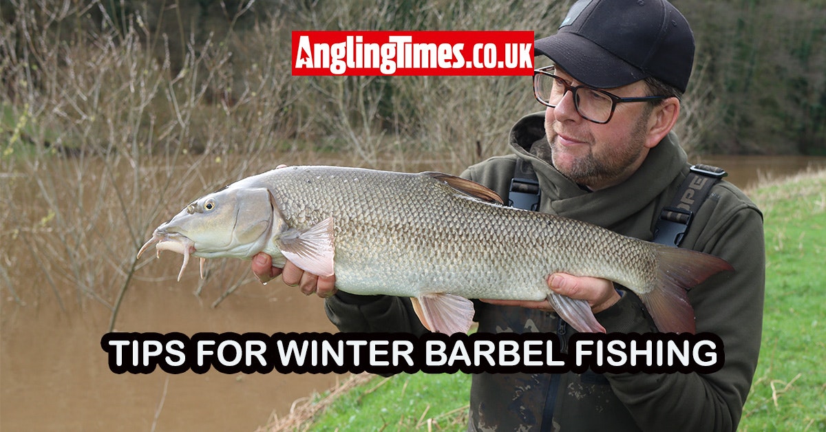 The best tips for winter barbel fishing