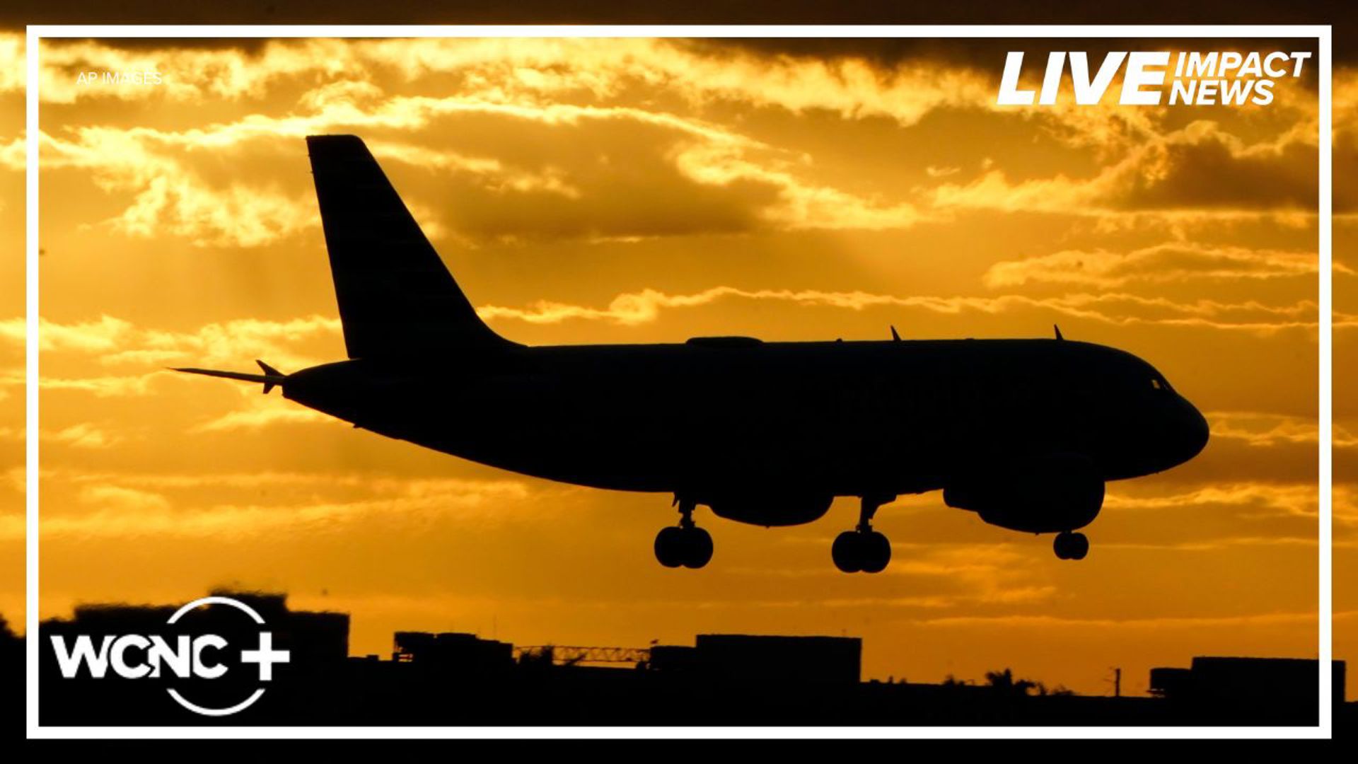 Travel expert shares predictions for 2026