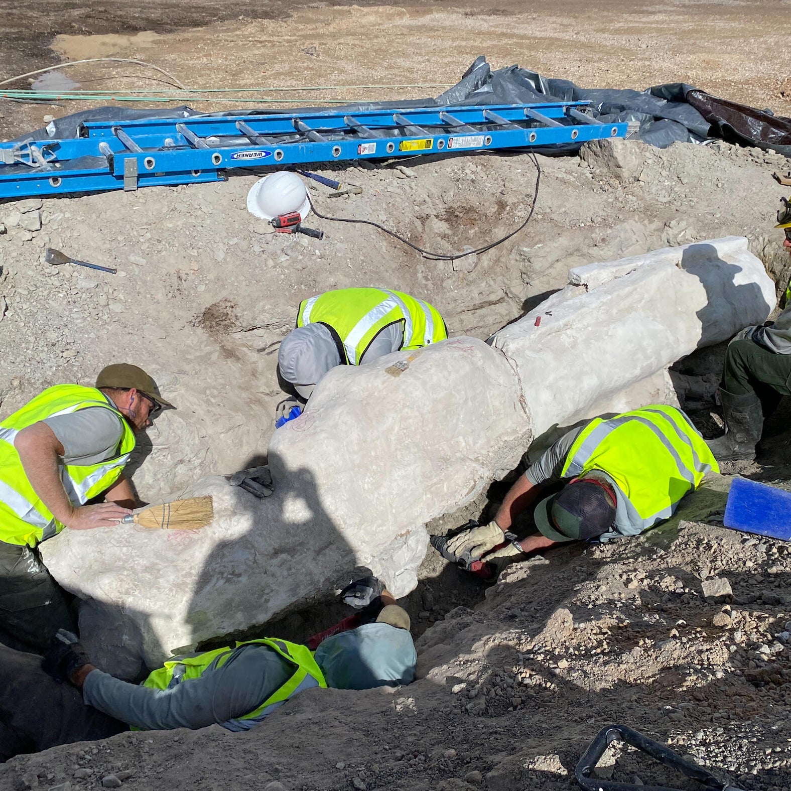 Fossils found at Dinosaur National Monument, first excavation in 100 years