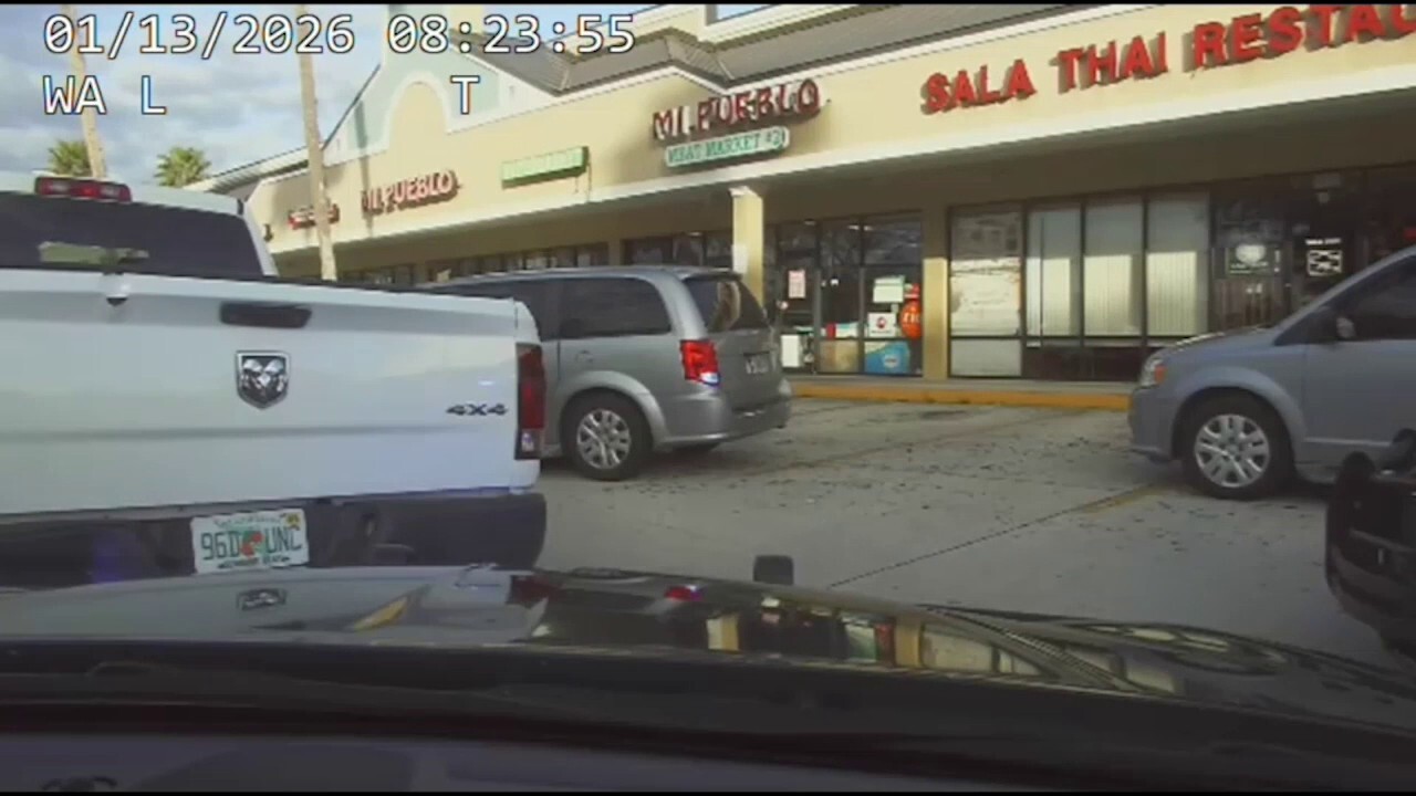 Anti-ICE agitator allegedly resists arrest, smiles after kicking toward ...