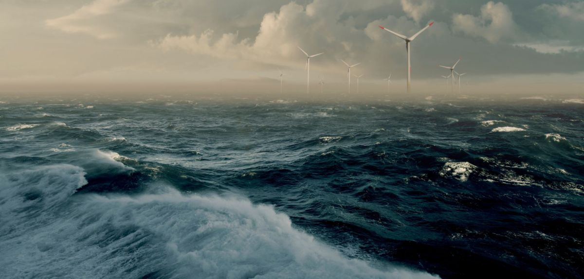 In der Nordsee: Riesiges Bauprojekt bekommt offiziell grünes Licht – es ...