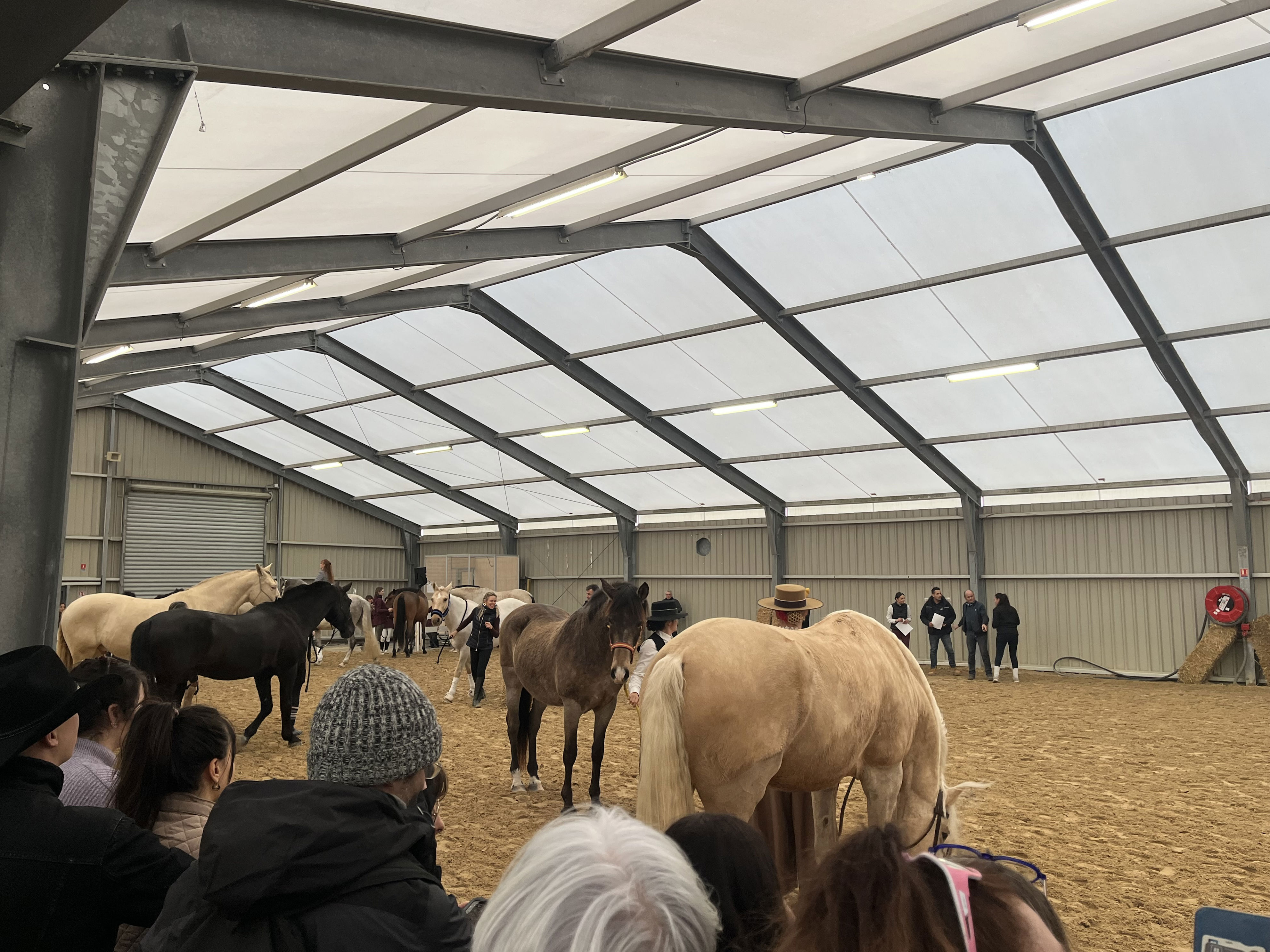 Cheval Passion célèbre ses 40 ans au parc des expositions d’Avignon
