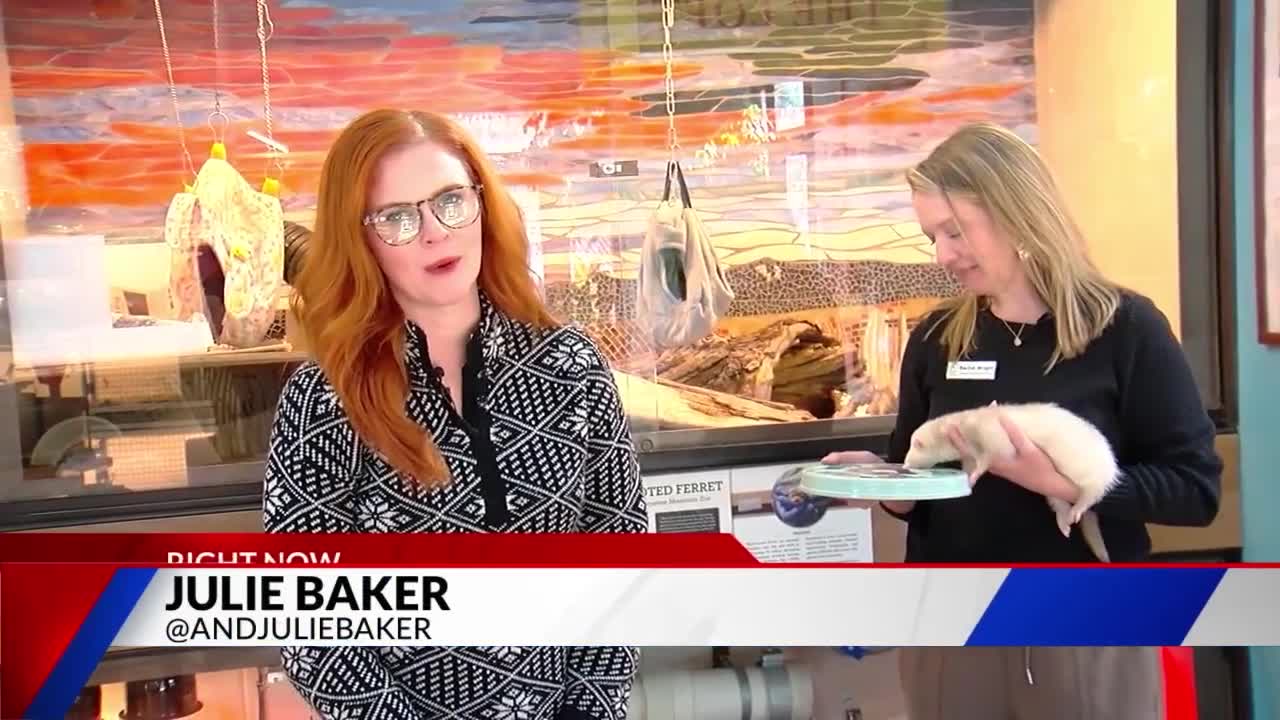 Cheyenne Mountain Zoo to offer excursions