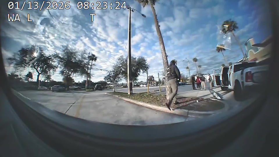 Raw video: Jacksonville woman accused of punching trooper argues with ...