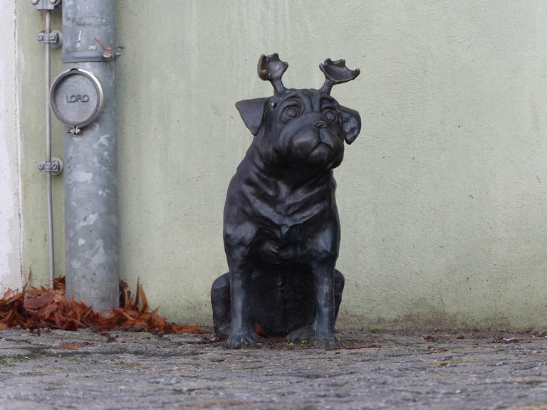 Der Waldmops als Ampelmännchen: Brandenburg an der Havel startet Initiative