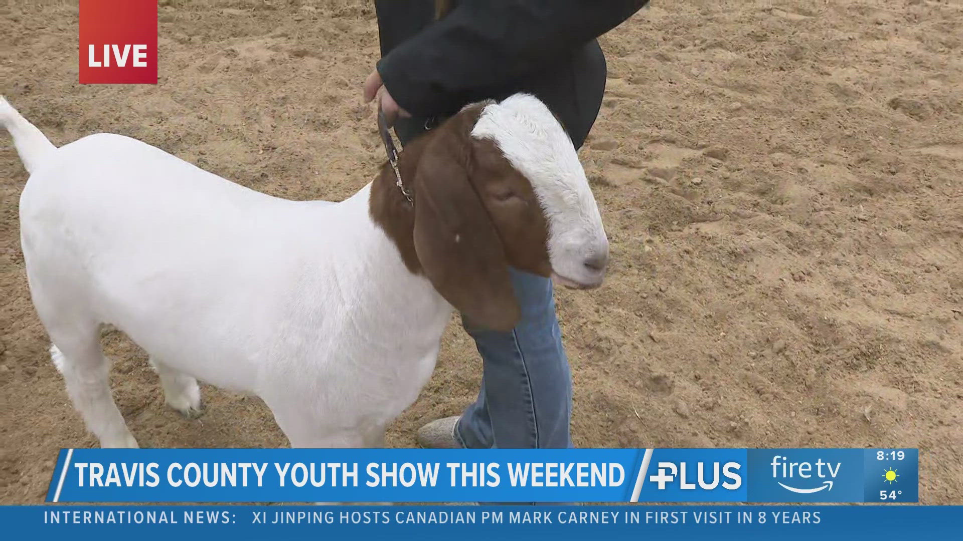 Travis County Youth Show returning to Central Texas this weekend