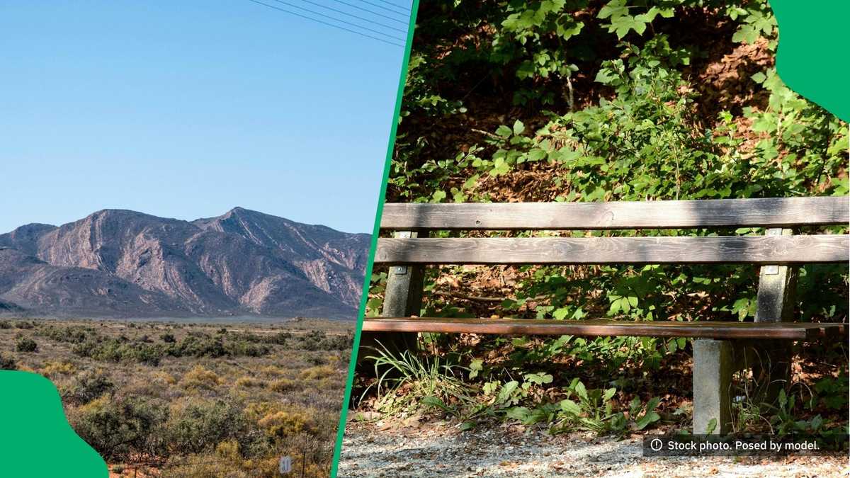 TikTok video highlights the struggles of good Samaritans improving ...