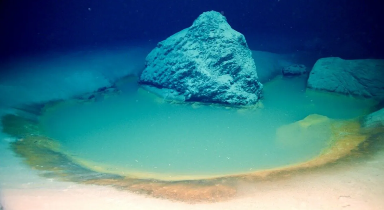 What is ocean’s ‘lake of death’? What happens when marine life enters ...