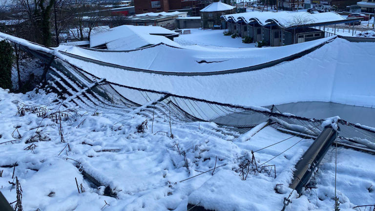 Zoo storm damage may cost hundreds of thousands