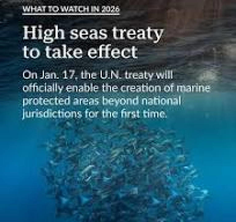 WWF says entry into force of High Seas Treaty ushers in a new era of ...