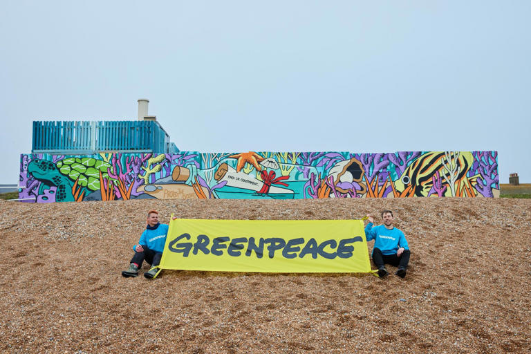 St Leonards beachfront mural to be unveiled to mark global ocean ...