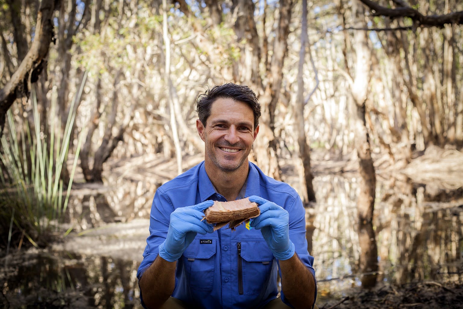 Hidden heroes: Australian tree bark microbes consume greenhouse & toxic ...