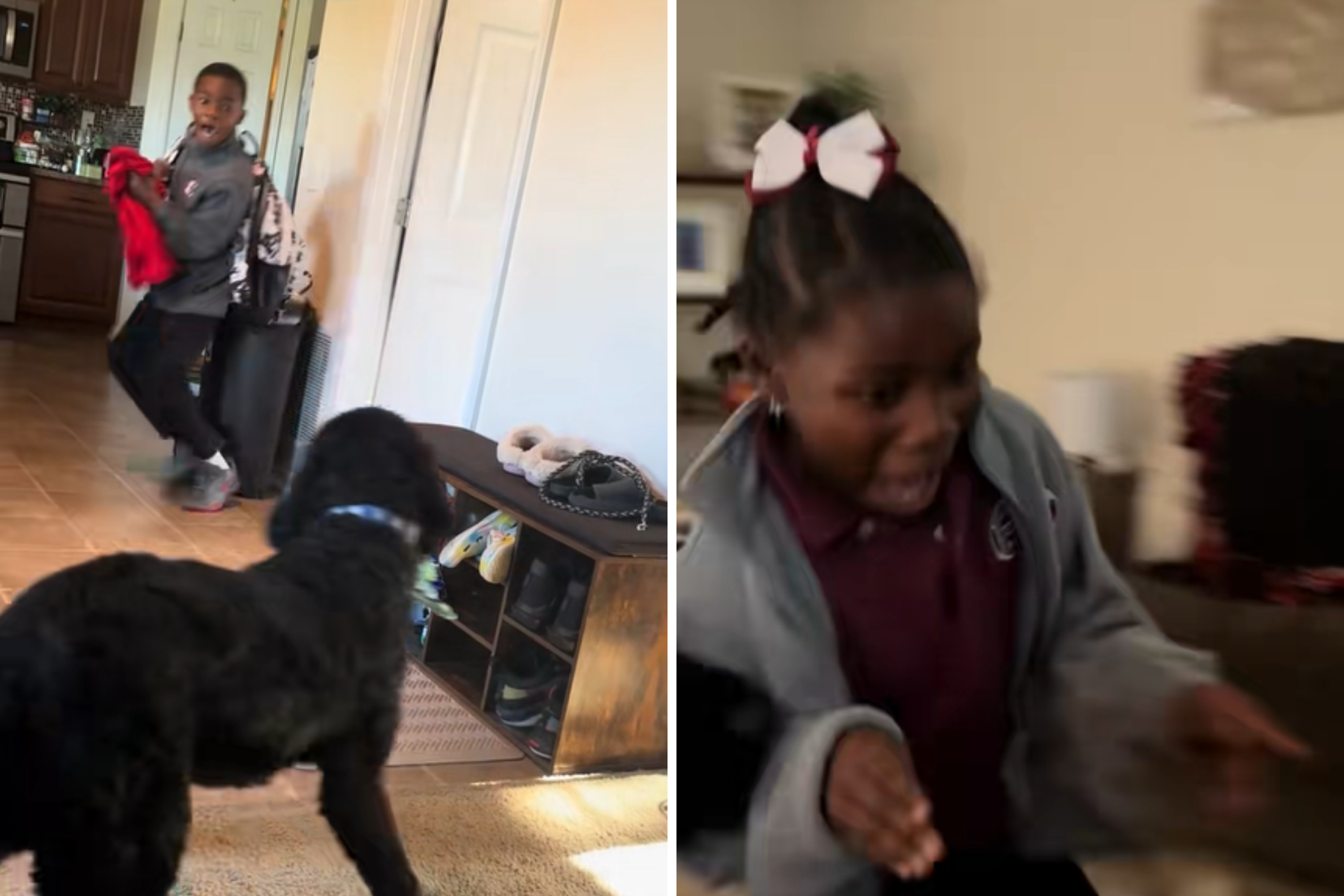 Kids get home from school to fully grown dog—their reaction is priceless