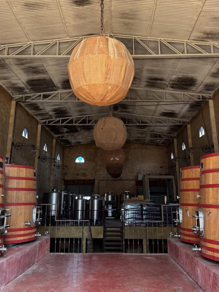 La escapada romántica de Rocío Robles y Adrián Suar a Carmelo: las ...