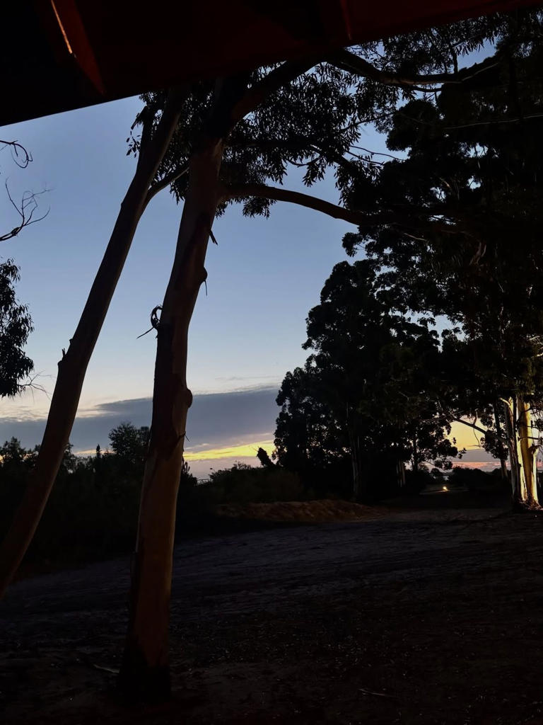 La escapada romántica de Rocío Robles y Adrián Suar a Carmelo: las ...