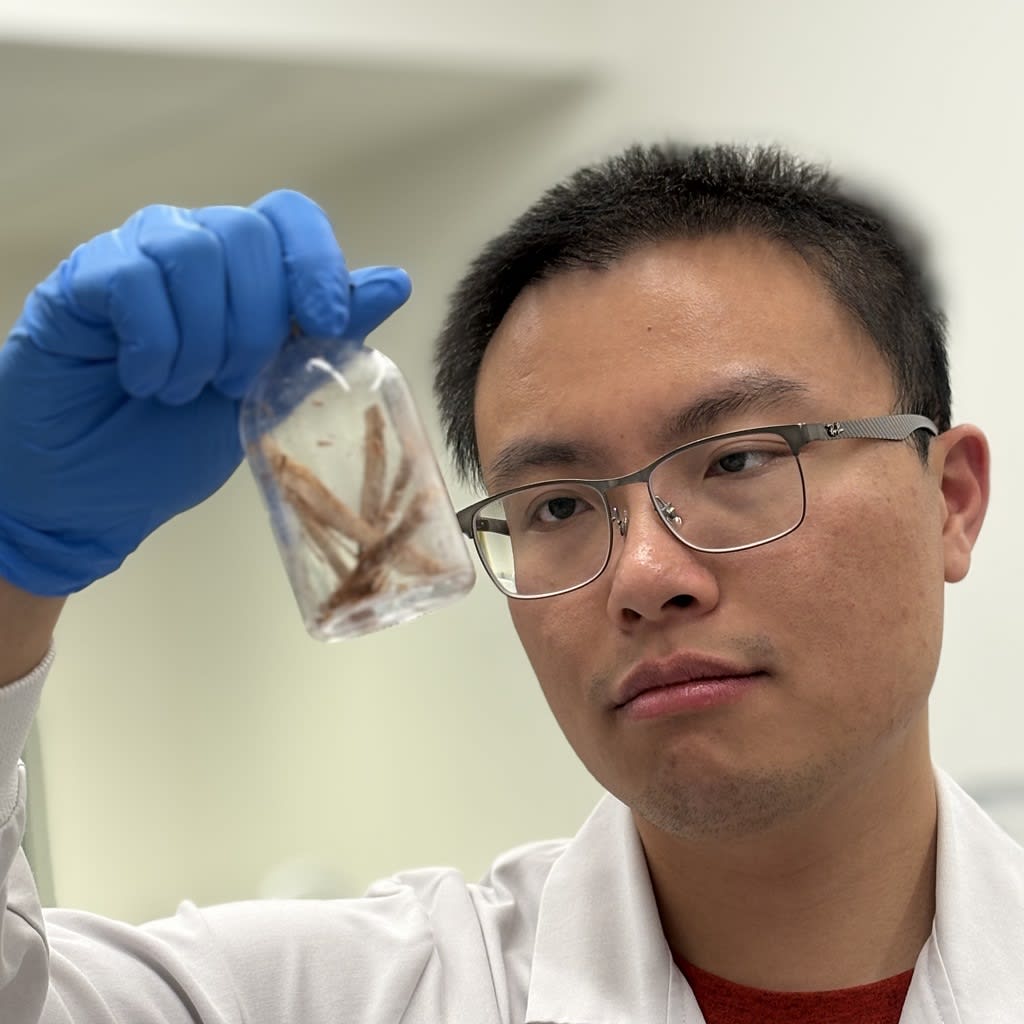 Hidden heroes: Australian tree bark microbes consume greenhouse & toxic ...