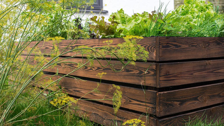 Hide the eyesore of an old tree stump with this raised garden bed idea