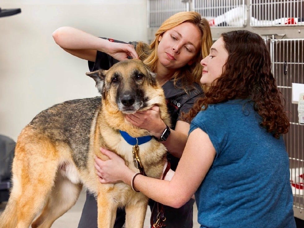 New ER vet hospital opening in Fort Myers, what to know