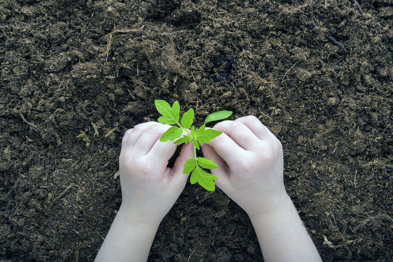 Museum to host winter sowing workshop