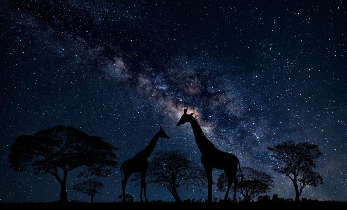 A giraffe face… in space? This new deep-space image is breaking social ...