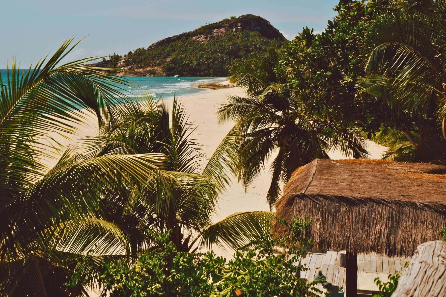 Seychelles: Coco de Mer and conservation‑led luxury