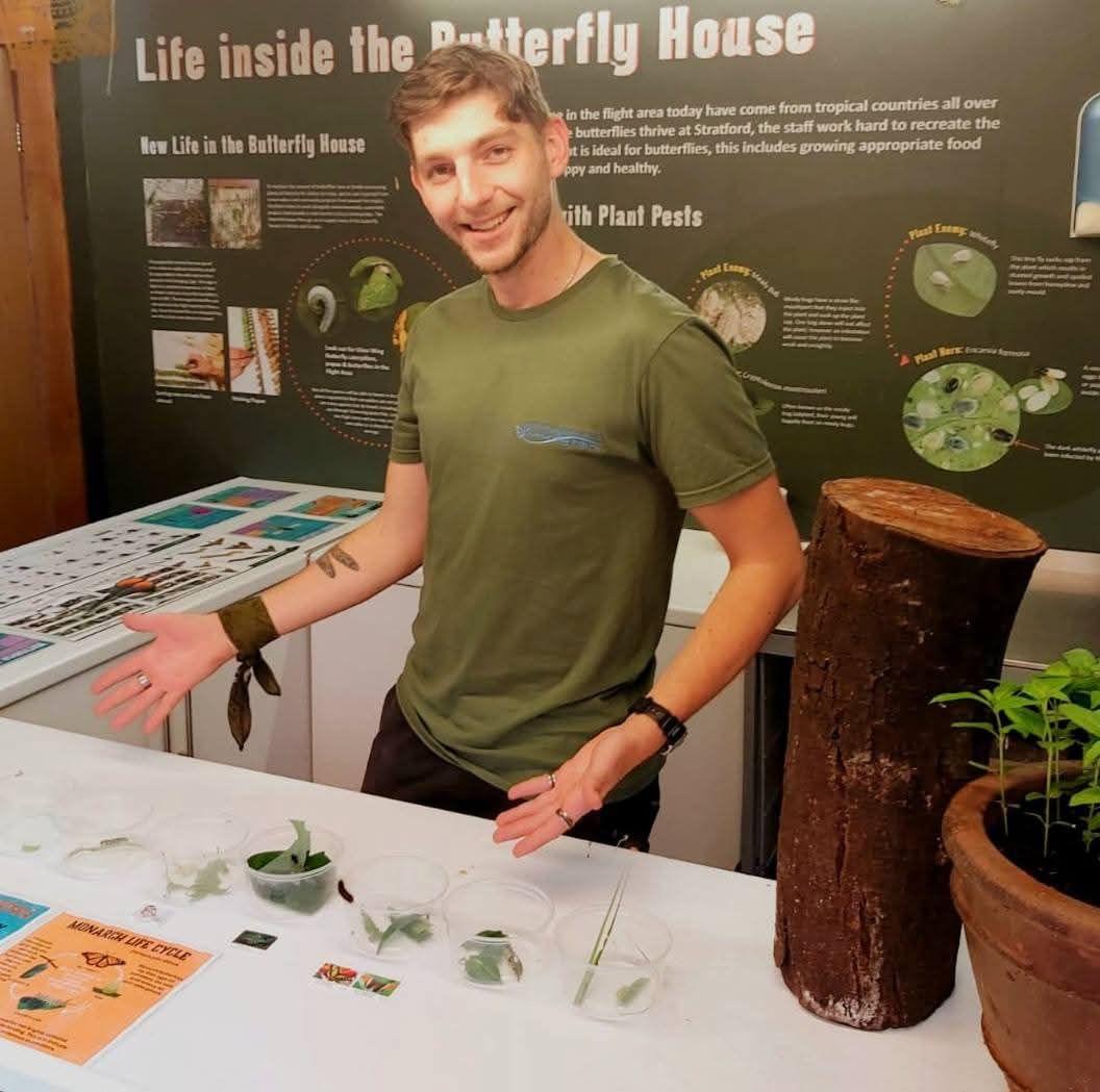 Love is in the air at Stratford-upon-Avon Butterfly Farm