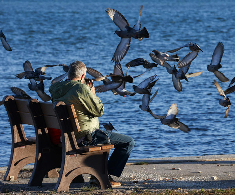 Get ready to bundle up! Cold temperatures coming to the Treasure Coast