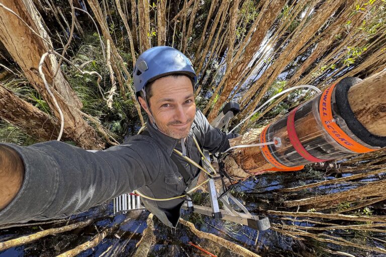 Hidden heroes: Australian tree bark microbes consume greenhouse & toxic ...