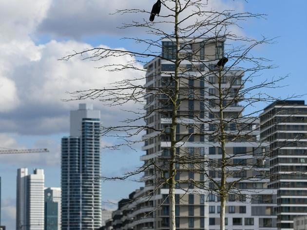 „Tabula rasa“ im Frankfurter Europagarten