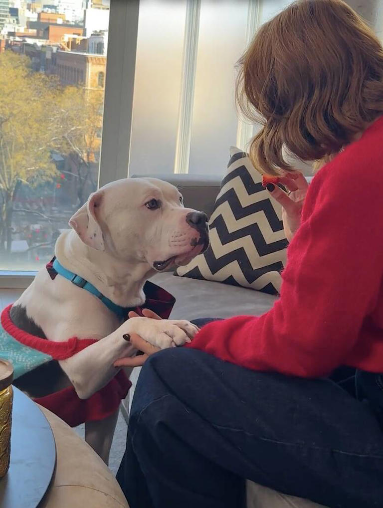 Ella Purnell surprises her date with mystery jars on Dodo Dream Date