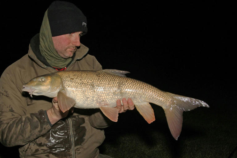 The best tips for winter barbel fishing