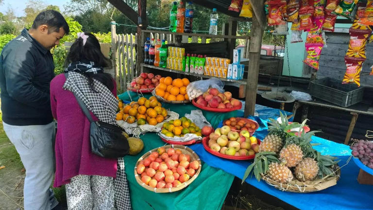 Road trip to Shillong: Why I will never go on one ever again