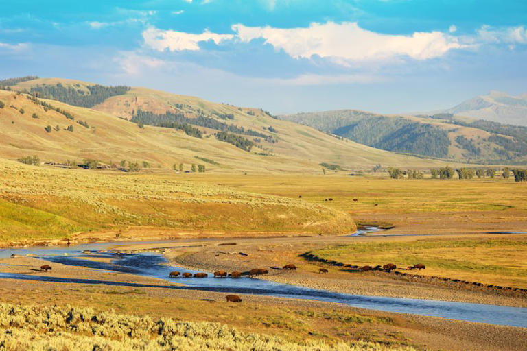 How to avoid the crowds at the most popular US national park