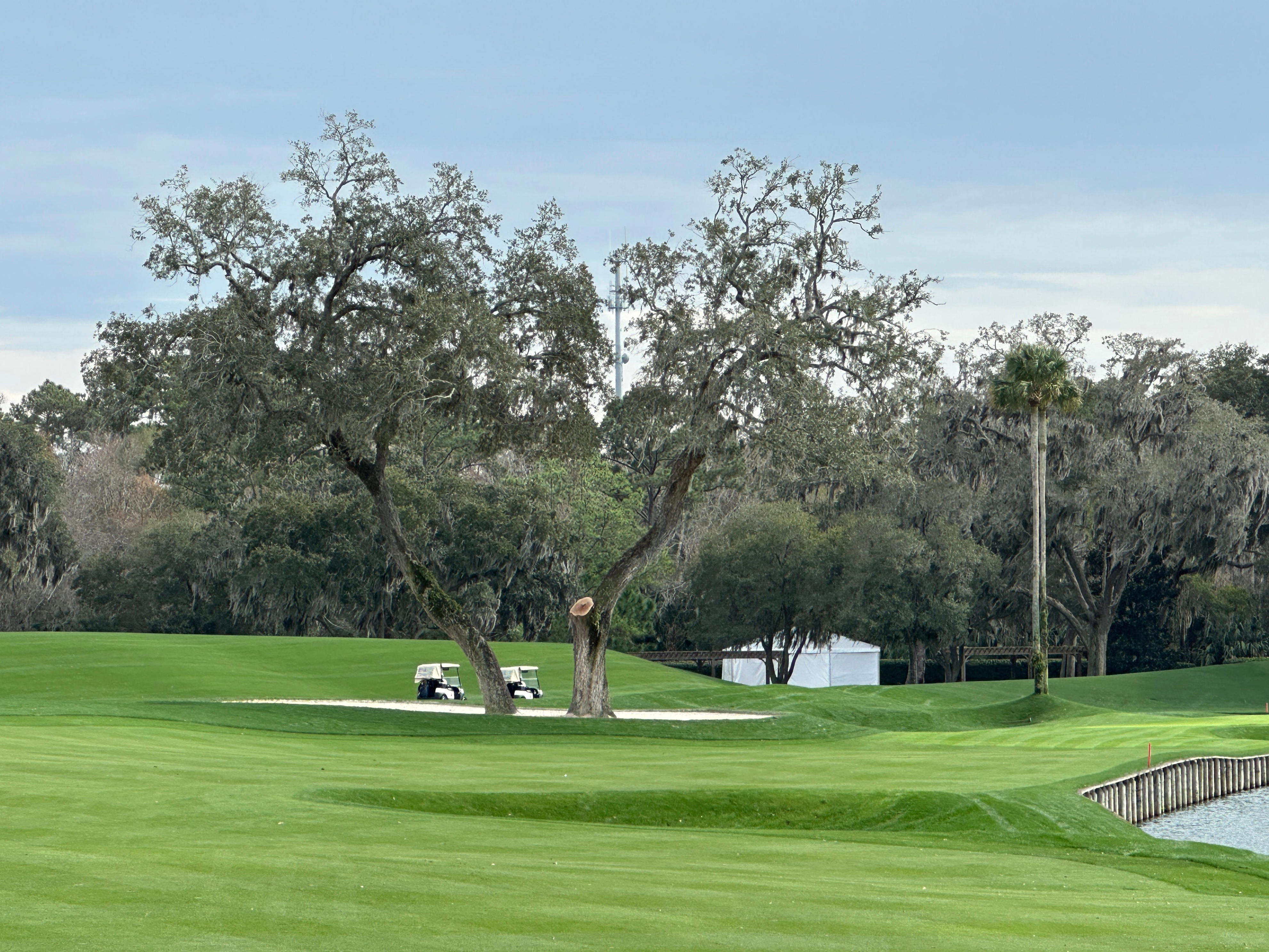 TPC Sawgrass 12th, 16th to feature subtle changes for 2026 Players