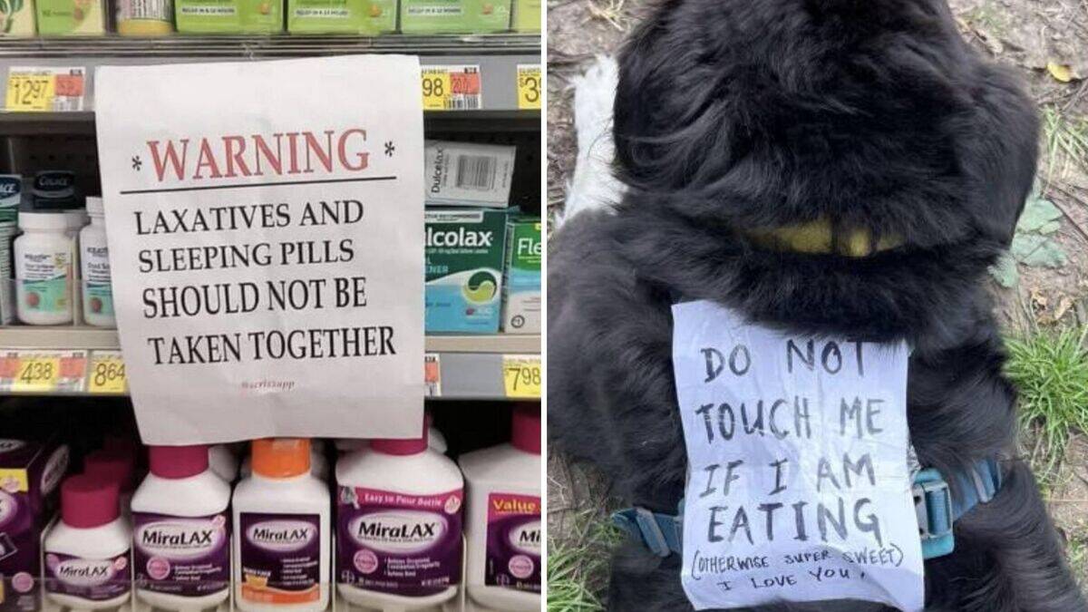 30+ hilarious public signs that made us belly laugh