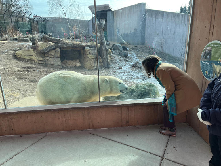 Polar bear Nora arrives at Henry Vilas Zoo