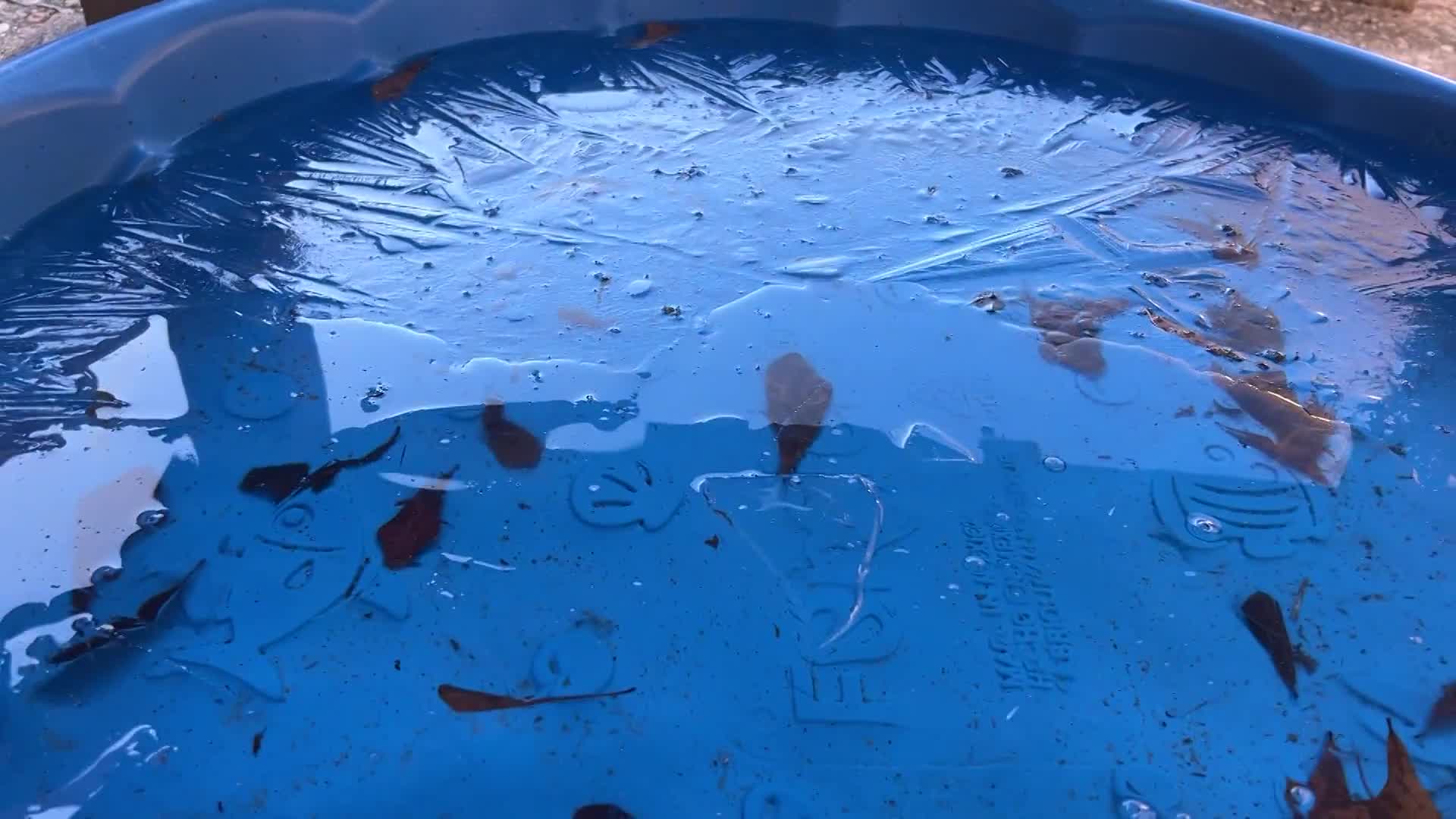 Friday midday weather update