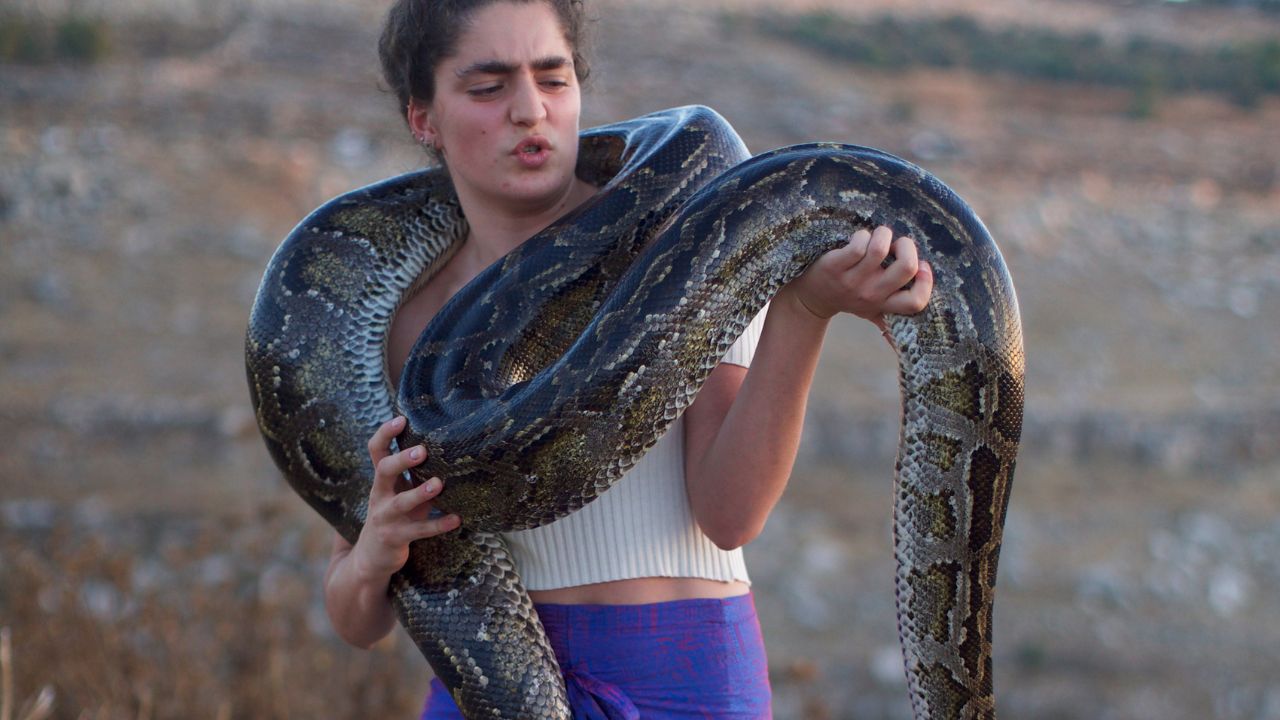 If an anaconda attacks, panic can be deadly, these steps explain what ...