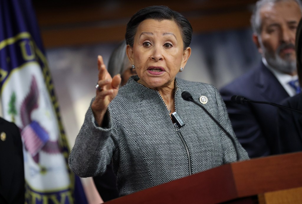 Retiring Dem Rep. Nydia Velázquez hits Zohran Mamdani for backing DSA ...