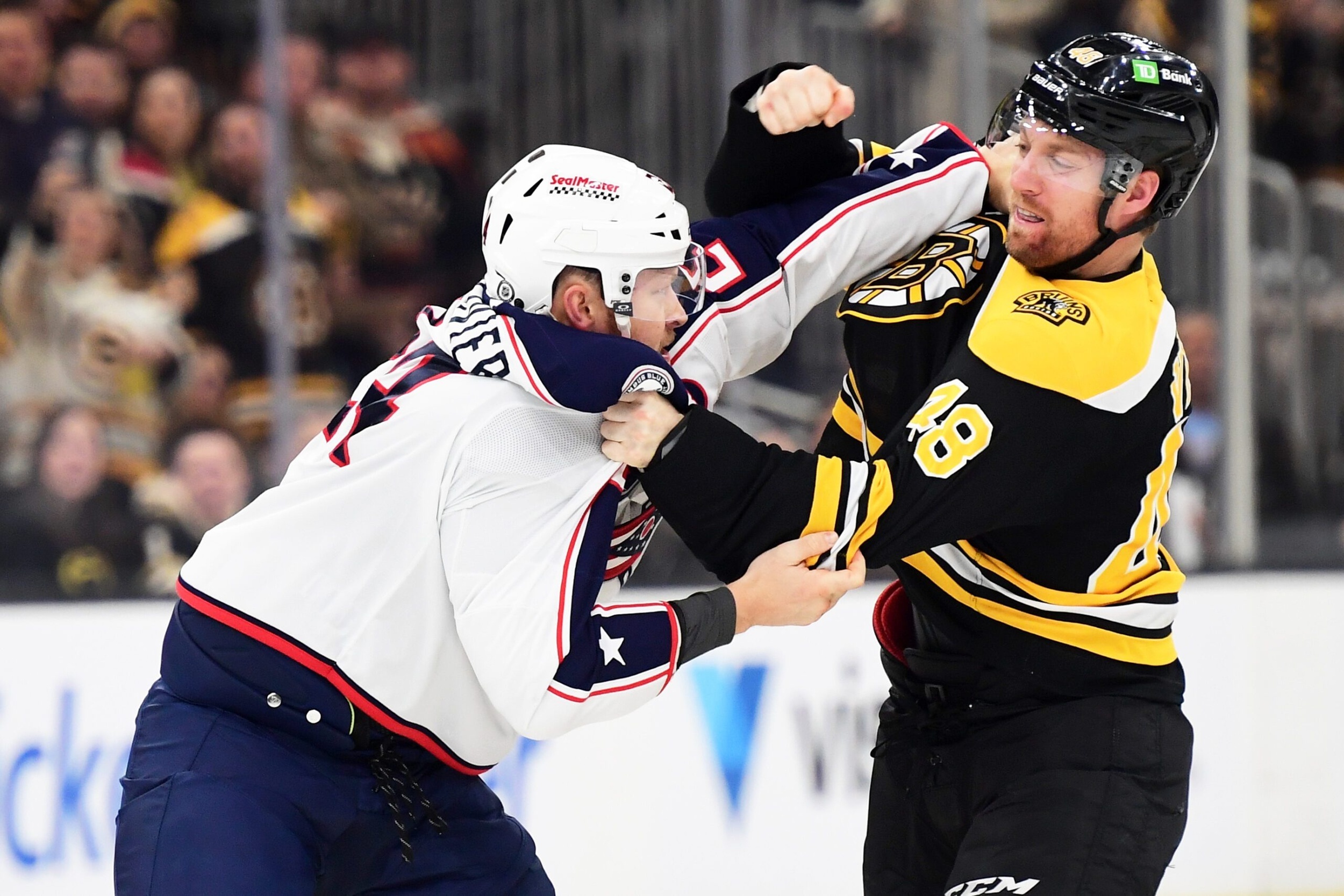 Ducks acquire Jeffrey Viel from Bruins for fourth-round pick