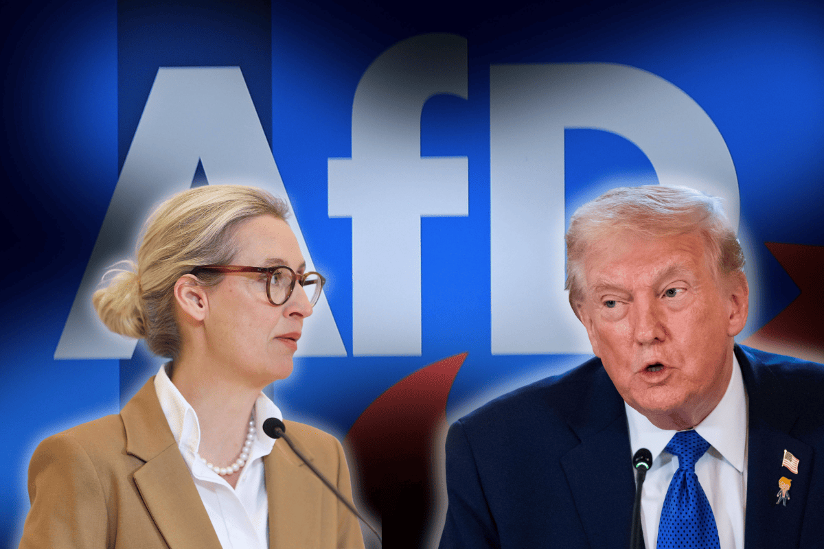 AfD-Chefin Weidel zieht bei Trump die Reißleine – "Einfach dumm"