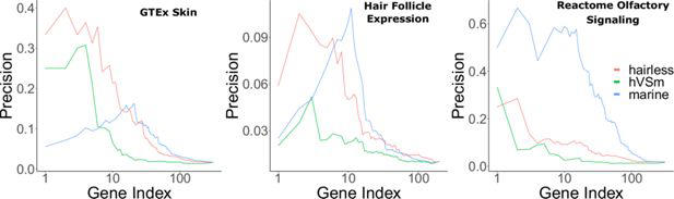 Scientists reveal why humans lost their fur, and it’s not what you think
