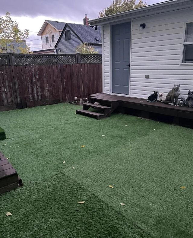 Homeowner sparks online debate after making $3,000 landscaping mistake ...